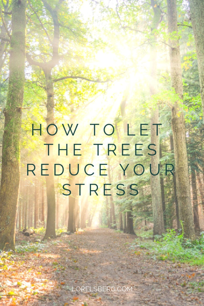 How to let the trees reduce your stress | Lorelsberg